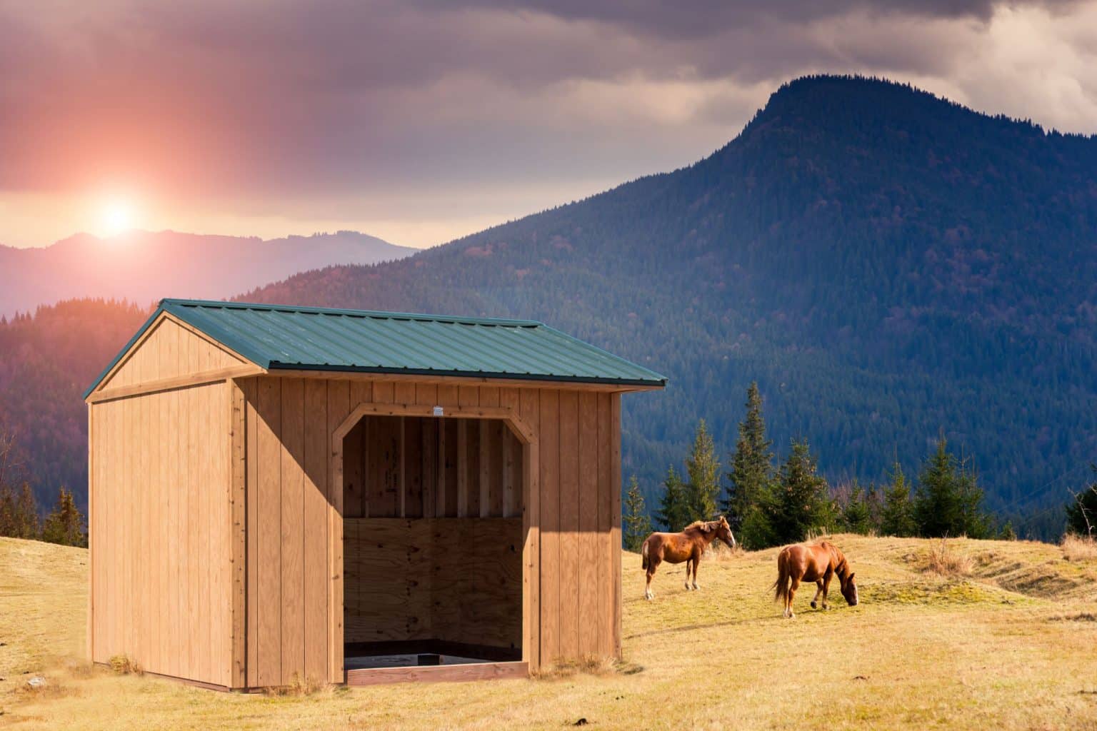Quality Sheds, Garages, & Gazebos in CO - Colorado Shed Company